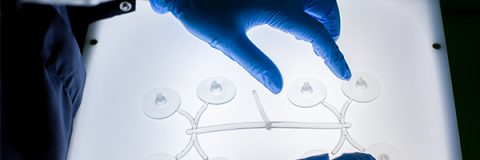 What are disposable medical devices? - Meridian Medical