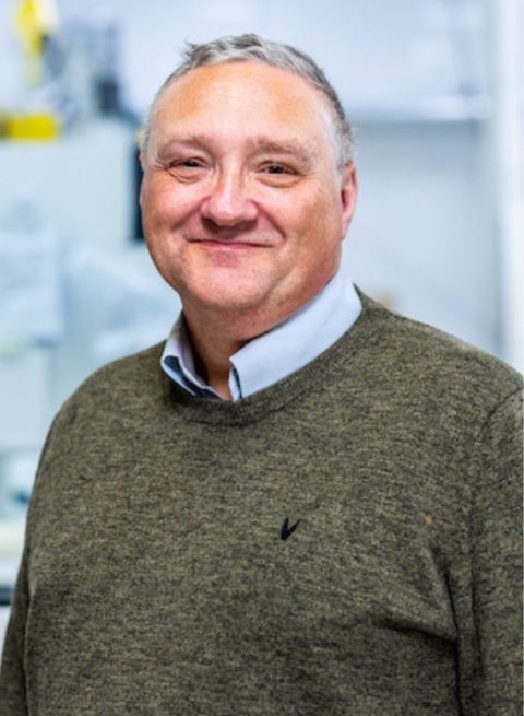 Medical Device Approval in the UK | Meridian Medical